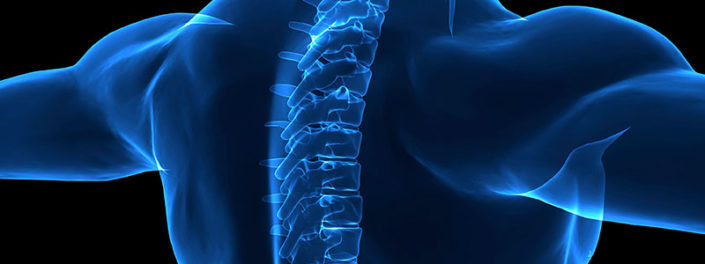 Anatomia da coluna: o que você precisa saber - Dr. Alberto Gotfryd